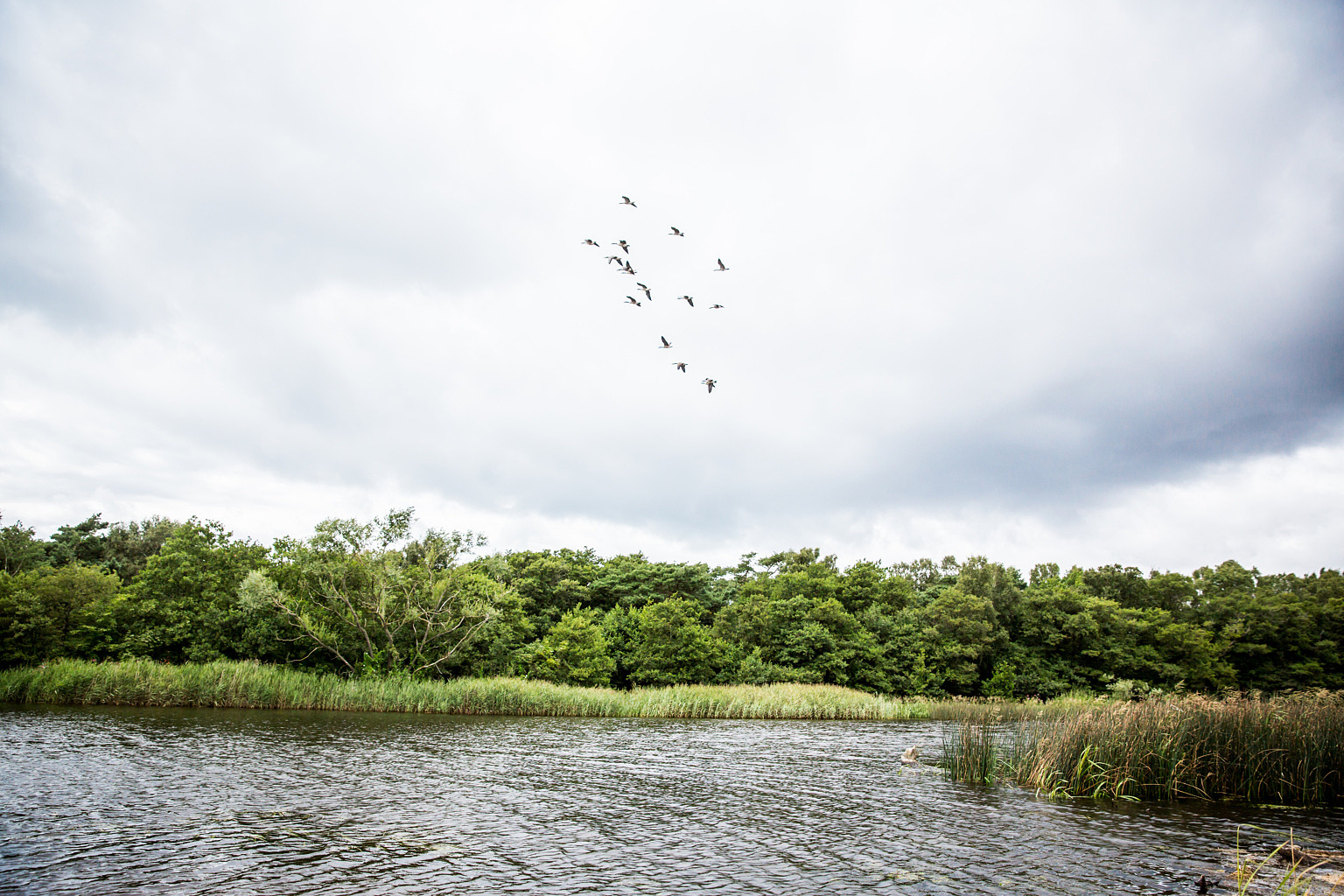 Vinån flyter stilla genom landskapet med undantag för några små ...