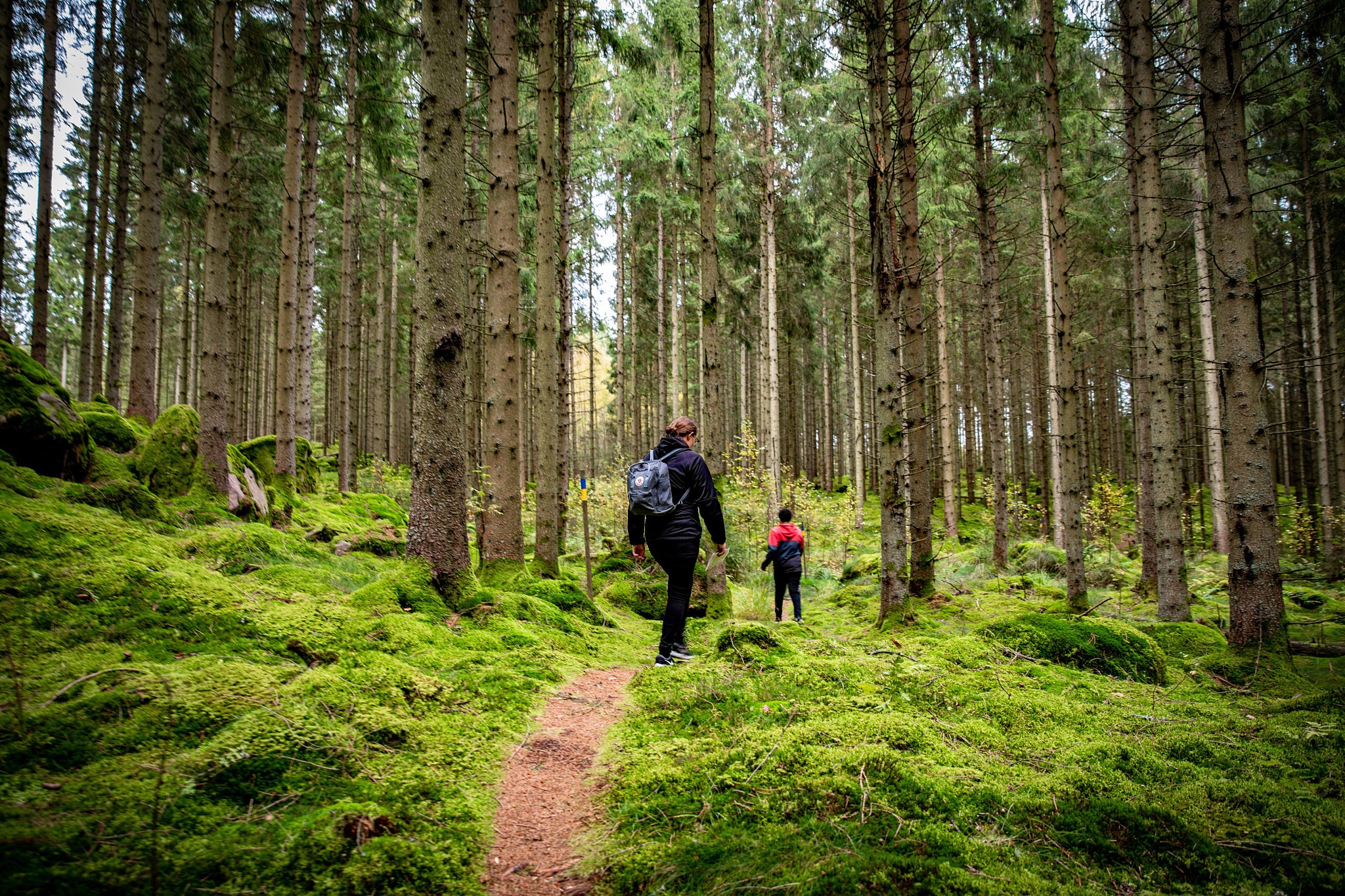 Här kan du ge dig ut i naturen på väl en uppmärkt led och samtidigt ...