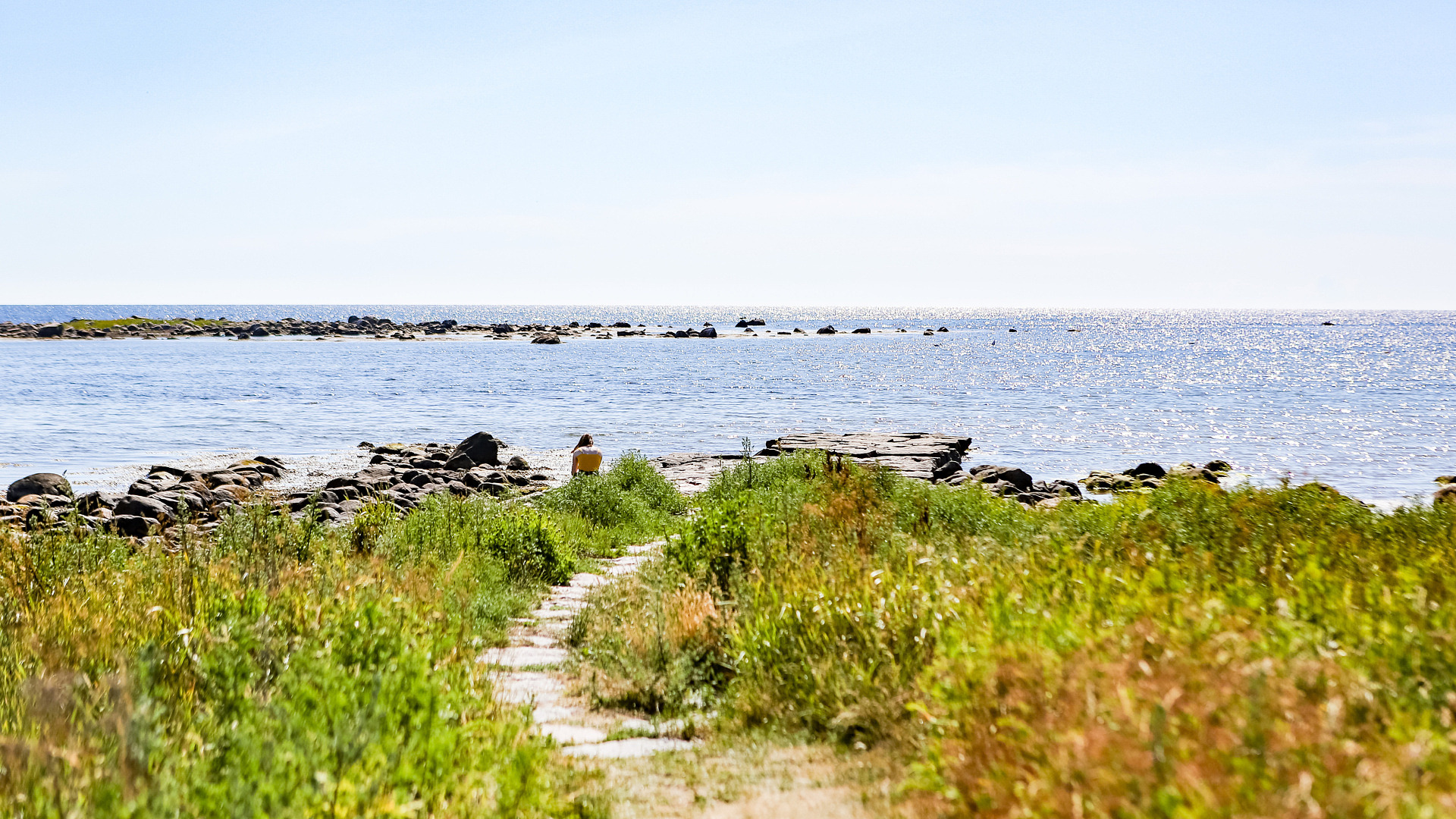 Naturbild, en stig som går ner till havet