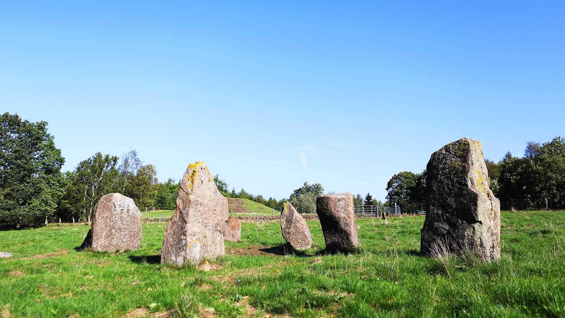 Gravfält med fem resta stenar.
