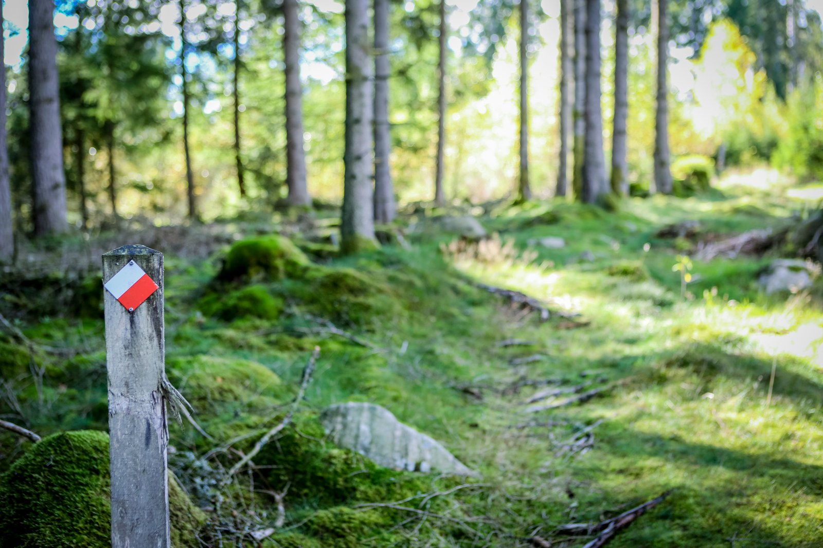 Ödemarksstigen förbinder fyra naturreservat men passerar också genom ...